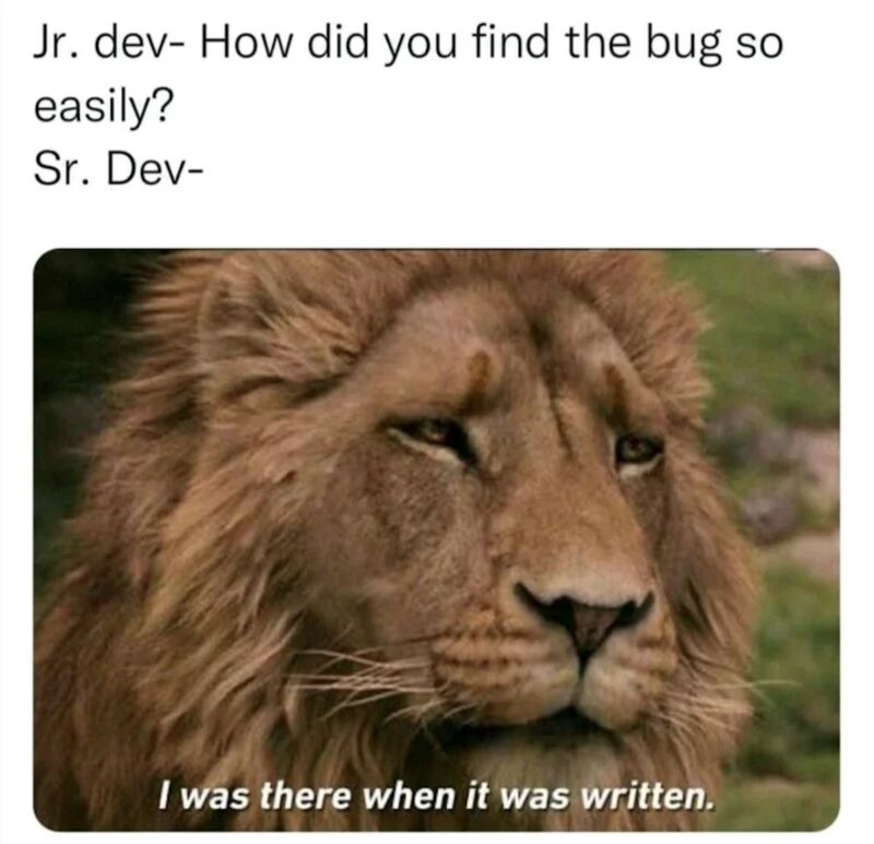 Hatchways on LinkedIn: Junior dev vs. Senior dev Hatchways on LinkedIn: Junior dev vs. Senior dev