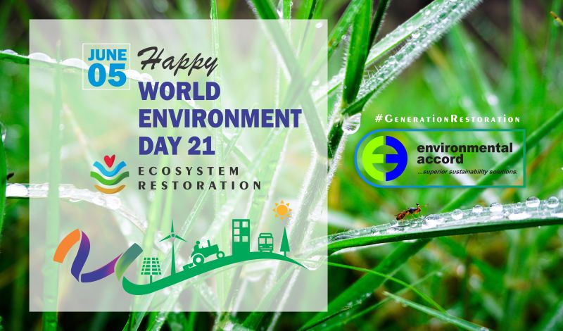Olasunkanmi Olafare on LinkedIn: Happy World Environment Day! Olasunkanmi Olafare on LinkedIn: Happy World Environment Day!