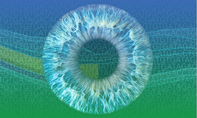 National Eye Institute (NEI) on LinkedIn: #gwas National Eye Institute (NEI) on LinkedIn: #gwas