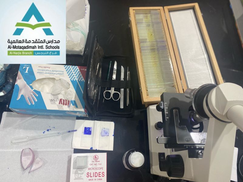 Heba Elsaid on LinkedIn: Some of my activities with my students 🥰 Plant ... Heba Elsaid on LinkedIn: Some of my activities with my students 🥰 Plant ...
