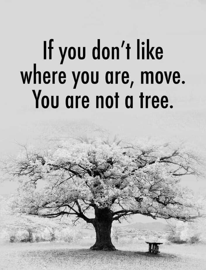 Mayur Shah ( CISA ,CEH,ITIL,ACE-MCNA,ISO-LA,ICSI-CNSS) posted on LinkedIn Mayur Shah ( CISA ,CEH,ITIL,ACE-MCNA,ISO-LA,ICSI-CNSS) posted on LinkedIn