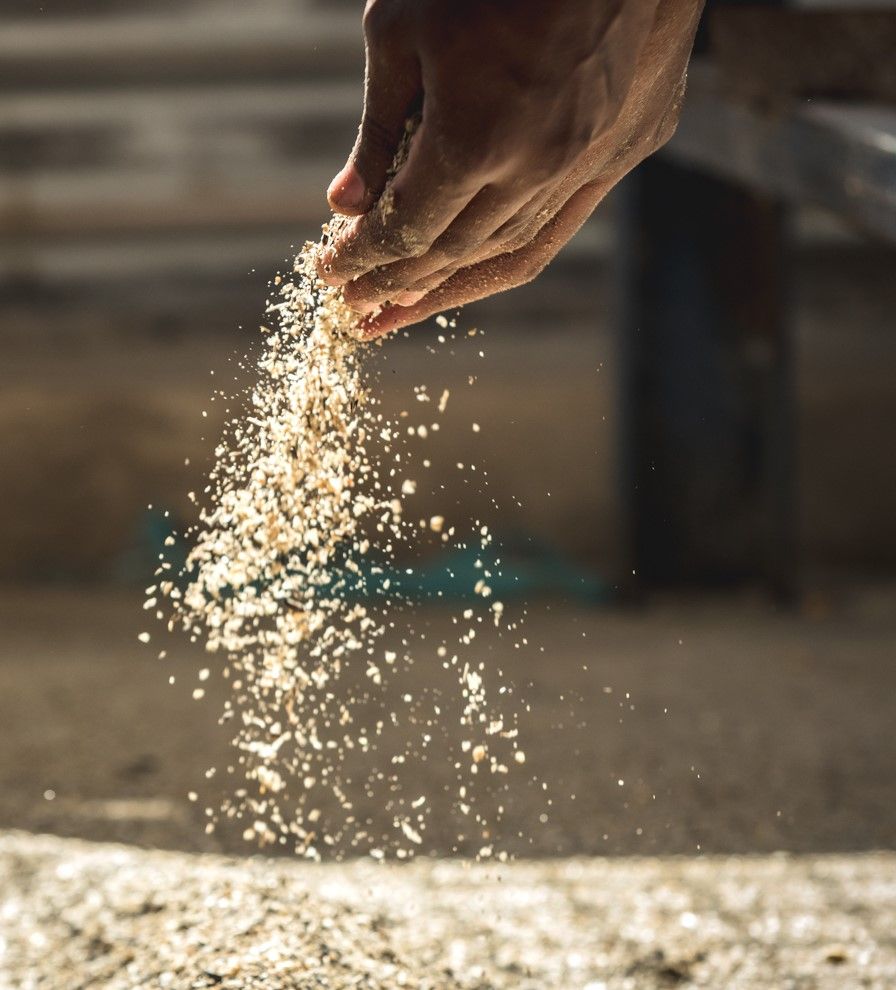 The Africa Agriculture and Trade Investment Fund (AATIF) on LinkedIn ... The Africa Agriculture and Trade Investment Fund (AATIF) on LinkedIn ...