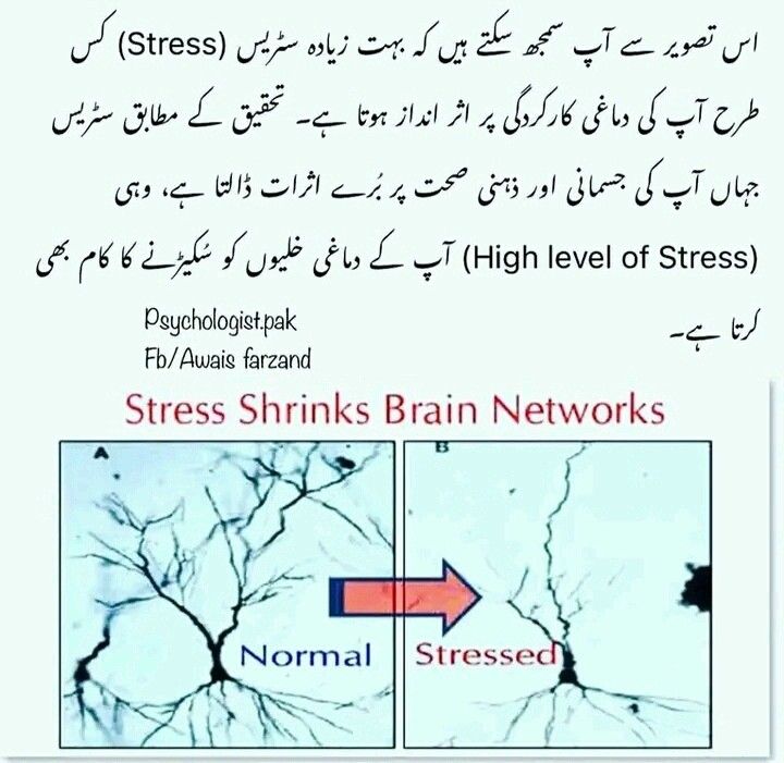 Ashar Azeem posted on LinkedIn Ashar Azeem posted on LinkedIn