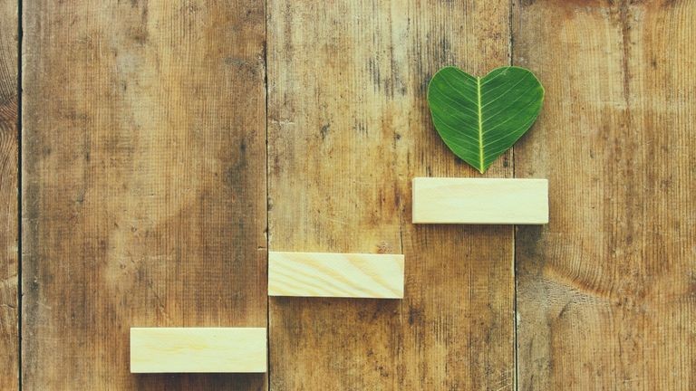 Paul McGrath ACA, CFA on LinkedIn: #sustainability Paul McGrath ACA, CFA on LinkedIn: #sustainability