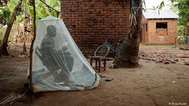 John-Paul Iwuoha on LinkedIn: Defeat malaria in a generation - here's ... John-Paul Iwuoha on LinkedIn: Defeat malaria in a generation - here's ...