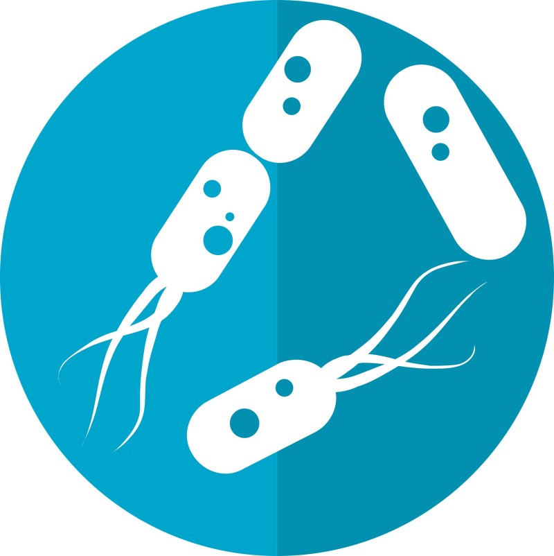 Sumanta Pal, MD, FASCO on LinkedIn: Researchers find link between gut ... Sumanta Pal, MD, FASCO on LinkedIn: Researchers find link between gut ...