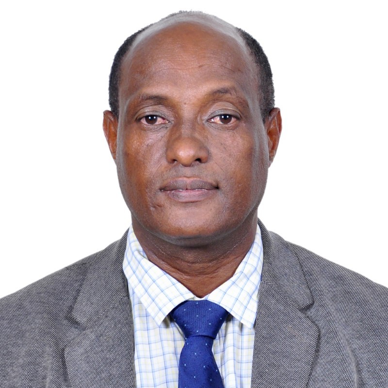 yonas woldu - Trakya University - Eritrea | LinkedIn yonas woldu - Trakya University - Eritrea | LinkedIn