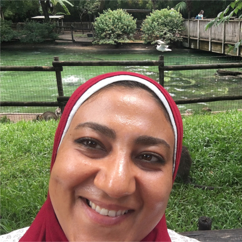 Dr.Nermin Mohamed - Dr. - Ministry of Civil Aviation | LinkedIn Dr.Nermin Mohamed - Dr. - Ministry of Civil Aviation | LinkedIn