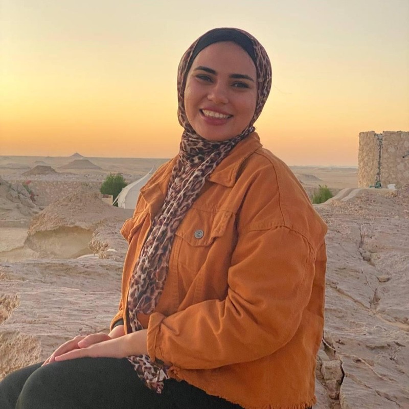 Noha Mohamed | LinkedIn Noha Mohamed | LinkedIn