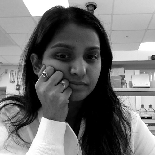Vijetha Chiniga Reddy - scientist - Allexcel.inc | LinkedIn Vijetha Chiniga Reddy - scientist - Allexcel.inc | LinkedIn