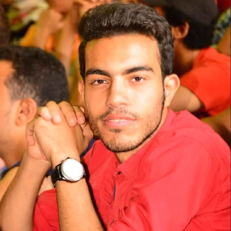 Amr Elsayed | LinkedIn Amr Elsayed | LinkedIn