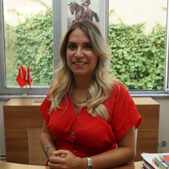 Ceren Cubukcu Cerasi, PhD - Assistant Professor Dr. - Gebze Technical ... Ceren Cubukcu Cerasi, PhD - Assistant Professor Dr. - Gebze Technical ...