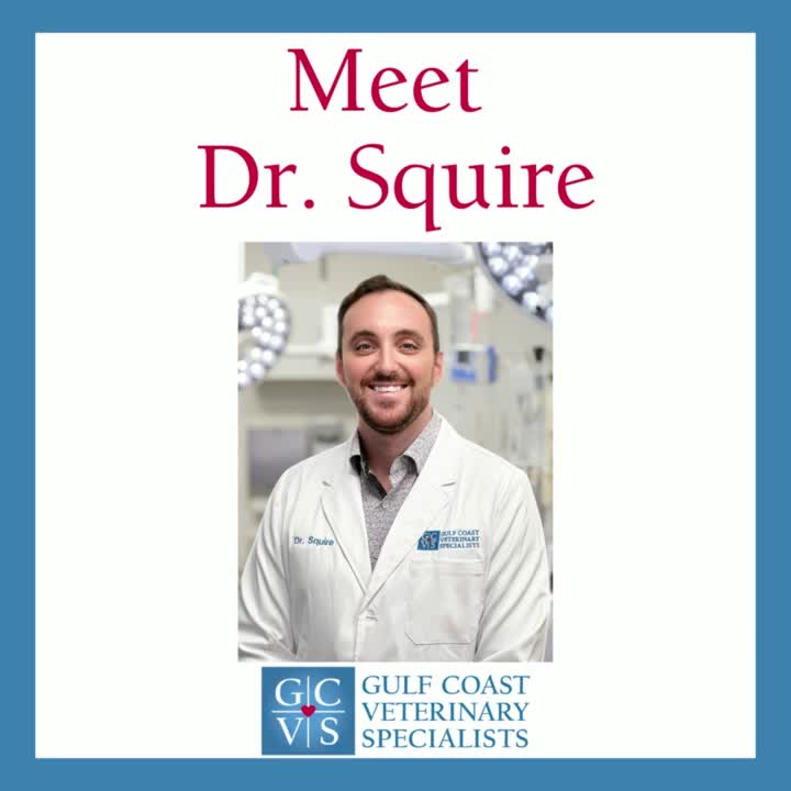Gulf Coast Veterinary Specialists on LinkedIn: Meet Dr. Nathan Squire ... Gulf Coast Veterinary Specialists on LinkedIn: Meet Dr. Nathan Squire ...
