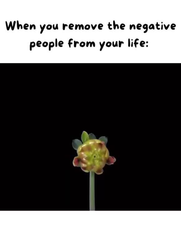 Devi Sundar on LinkedIn: Negativity never lets you grow. Create your ... Devi Sundar on LinkedIn: Negativity never lets you grow. Create your ...
