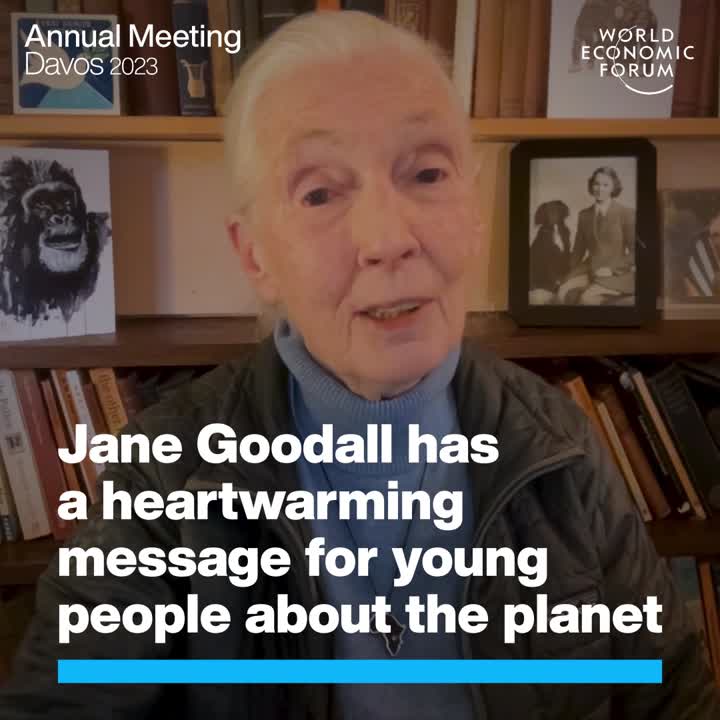Deepa Kumari on LinkedIn: #janegoodall #environment Deepa Kumari on LinkedIn: #janegoodall #environment