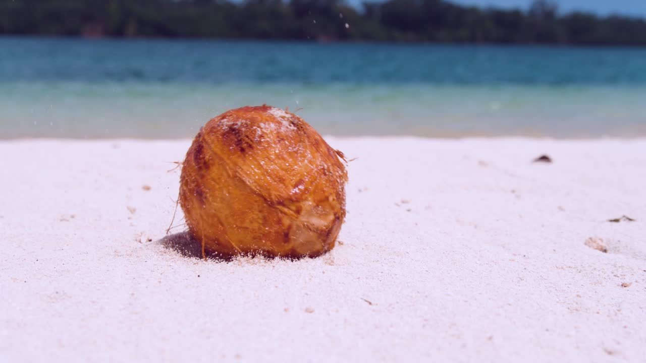 Chirag Ojha on LinkedIn: World Coconut Day Chirag Ojha on LinkedIn: World Coconut Day