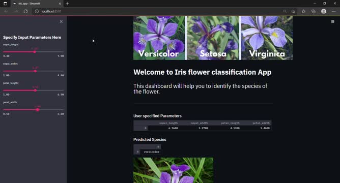 Ankita Sutar on LinkedIn: #streamlit #machinelearning #pythonprogramming Ankita Sutar on LinkedIn: #streamlit #machinelearning #pythonprogramming