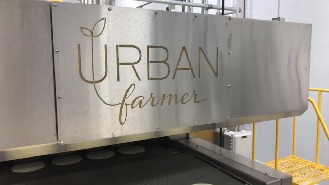 John Keigher on LinkedIn: #urbanfarmer John Keigher on LinkedIn: #urbanfarmer