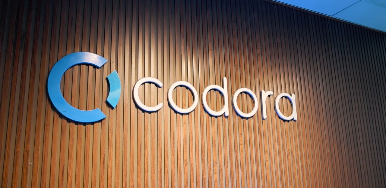 Codora on LinkedIn: Happy employees at Codora Codora on LinkedIn: Happy employees at Codora