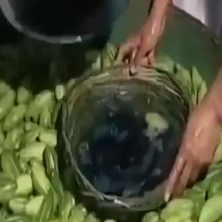 Noorani Shaikh on LinkedIn: WTF 😳 Noorani Shaikh on LinkedIn: WTF 😳