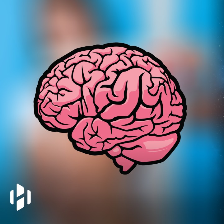 Dr. Shanmukha Raju on LinkedIn: interesting facts on hypothalamus Dr. Shanmukha Raju on LinkedIn: interesting facts on hypothalamus
