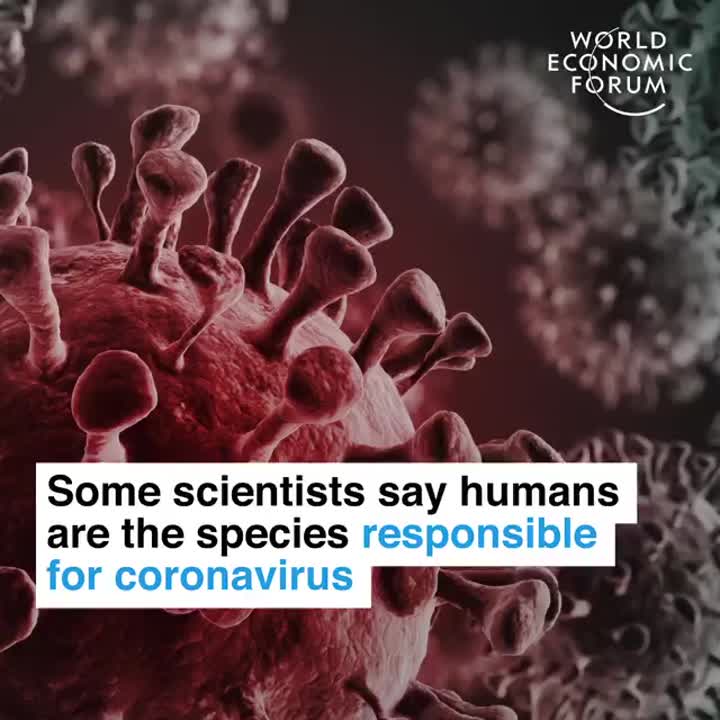 Naeem Sajjad on LinkedIn: #environment #sustainability #sdgs #humans Naeem Sajjad on LinkedIn: #environment #sustainability #sdgs #humans