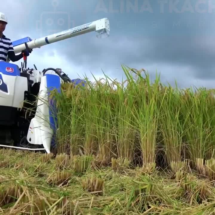 Vinay Parmar on LinkedIn: This Japanese tractor can harvest 1,700 ... Vinay Parmar on LinkedIn: This Japanese tractor can harvest 1,700 ...