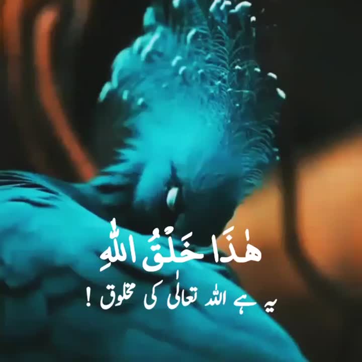 Muhammad Ishfaq posted on LinkedIn Muhammad Ishfaq posted on LinkedIn