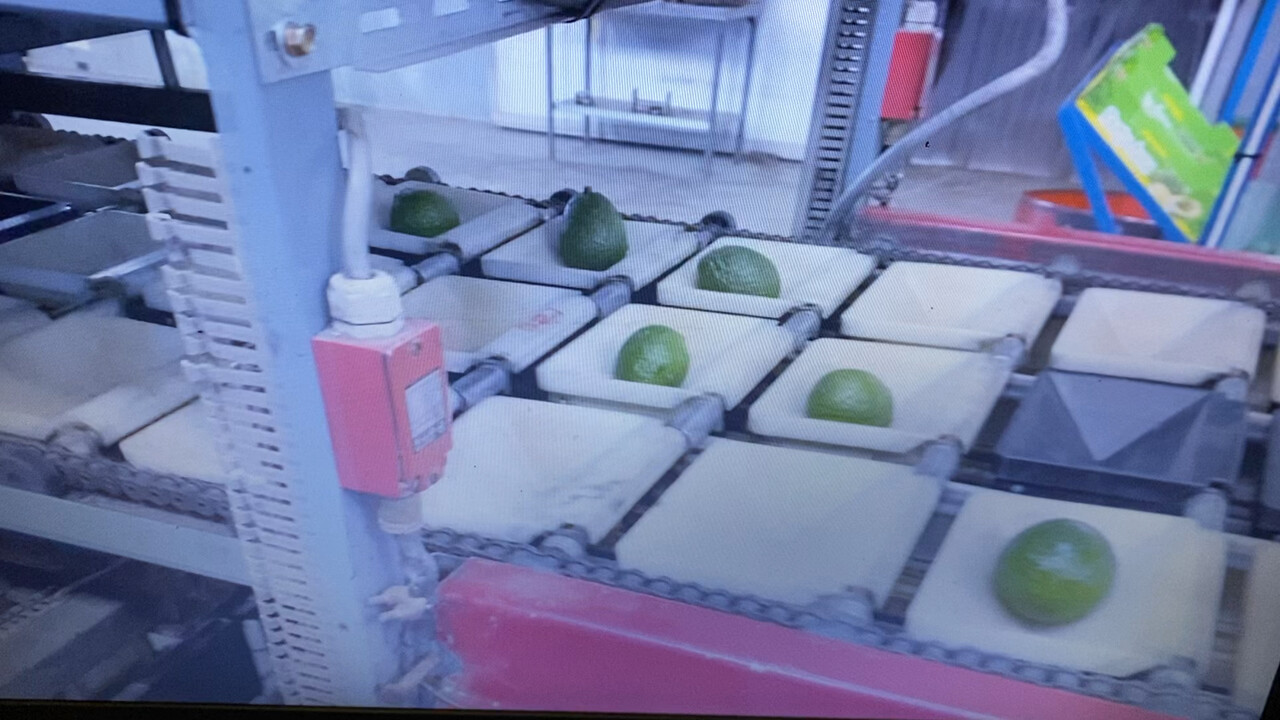 Cobus Richter on LinkedIn: Nukor recently retrofitted an Avocado 3 lane ... Cobus Richter on LinkedIn: Nukor recently retrofitted an Avocado 3 lane ...