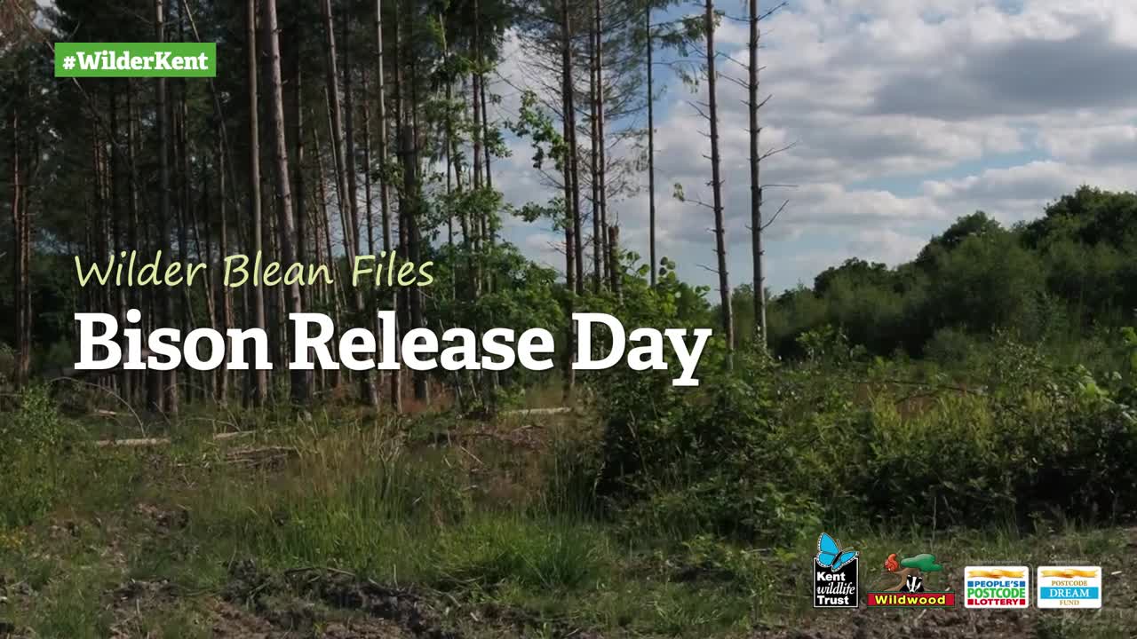 Grant Maton on LinkedIn: #rewilding Grant Maton on LinkedIn: #rewilding
