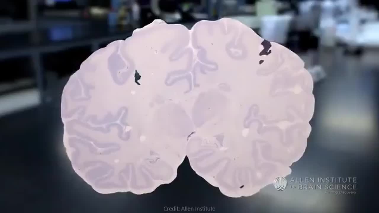 Vera Babat on LinkedIn: The wonders of life. Simply jaw dropping. Vera Babat on LinkedIn: The wonders of life. Simply jaw dropping.