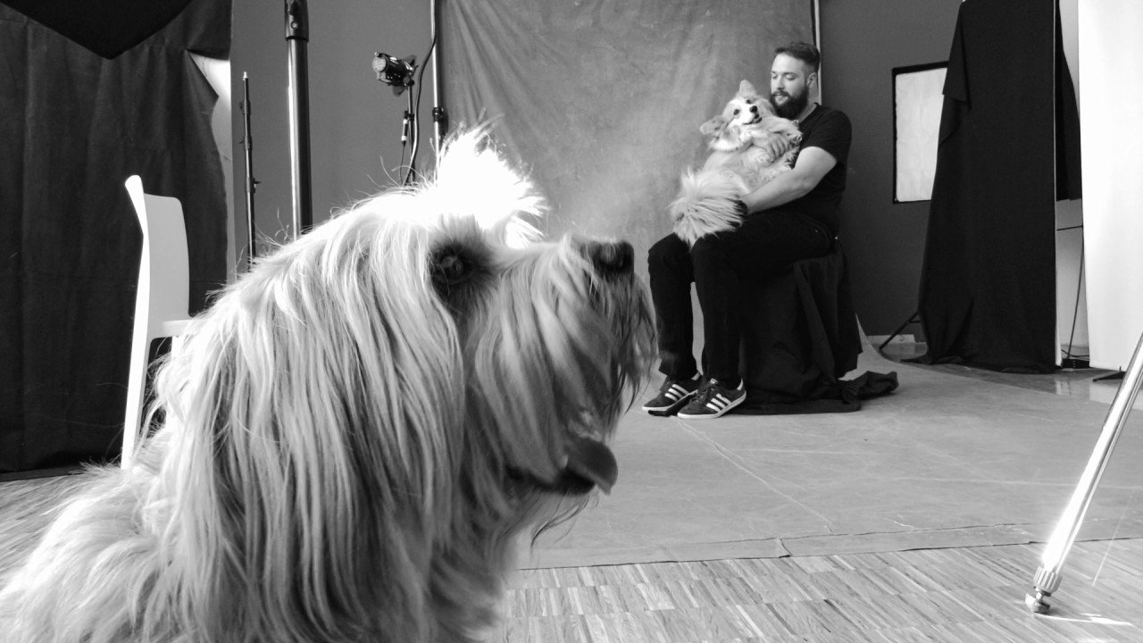 CROZ on LinkedIn: CROZ Calendar 2022 - Making Of CROZ on LinkedIn: CROZ Calendar 2022 - Making Of