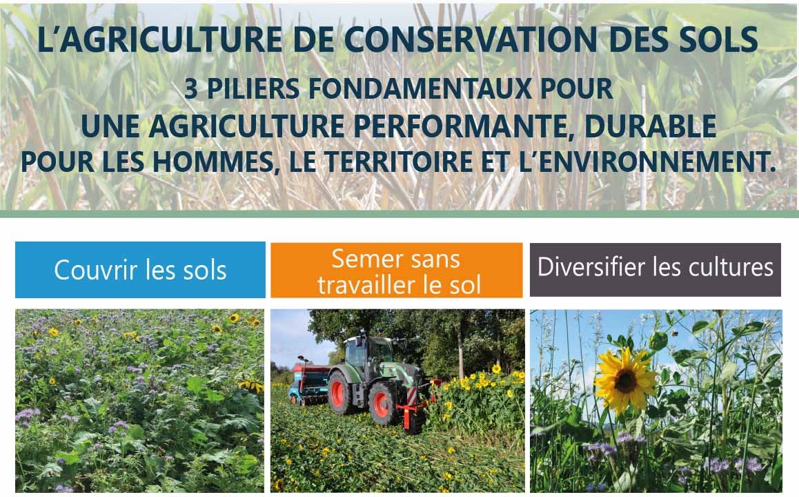 L’Agriculture de Conservation des Sols L’Agriculture de Conservation des Sols