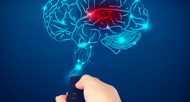 Two Primary Ways to Drive Brain Neuroplasticity Two Primary Ways to Drive Brain Neuroplasticity