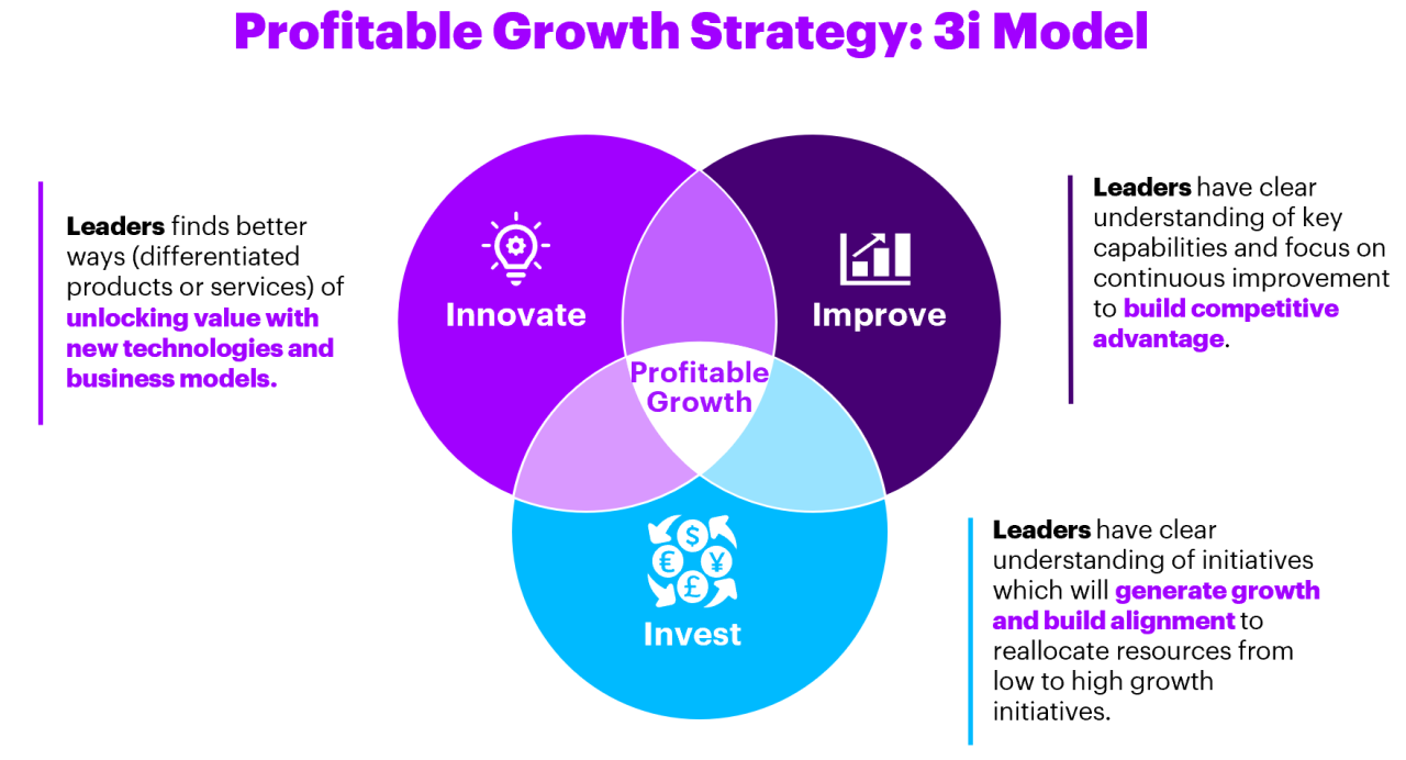 Profitable Growth Strategy: 3i Model Profitable Growth Strategy: 3i Model