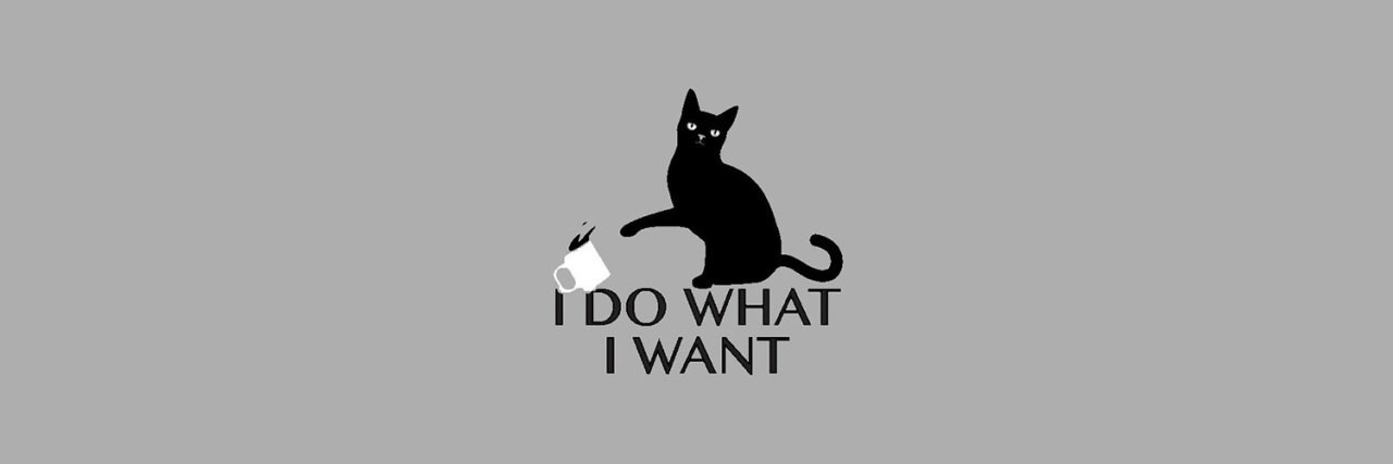 Senior Software Engineer (.NET / Angular) Senior Software Engineer (.NET / Angular)
