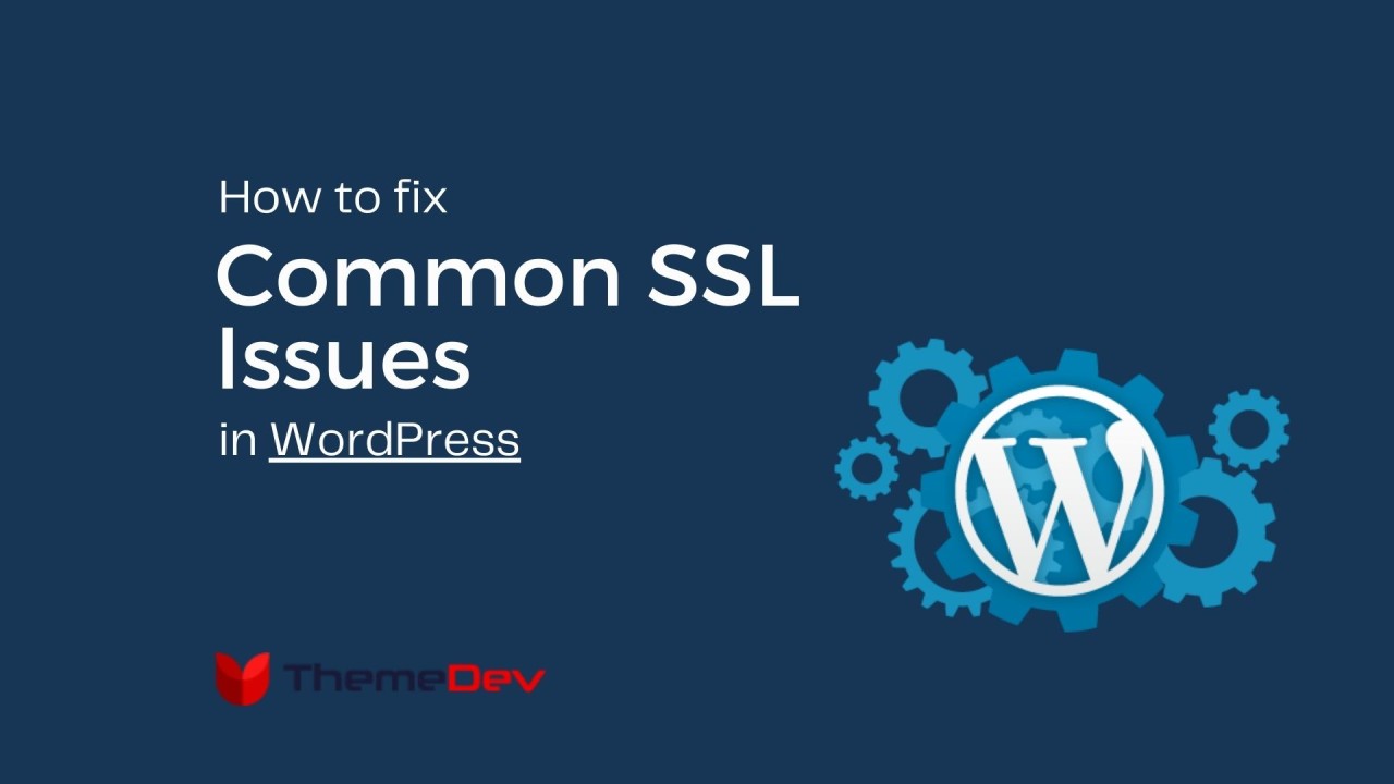 How to Fix Common SSL Issues in WordPress How to Fix Common SSL Issues in WordPress