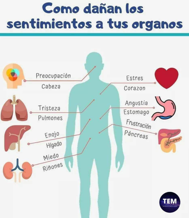 Emociones y enfermedades físicas. Emociones y enfermedades físicas.