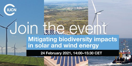 IUCN's Mitigating biodiversity impacts associated with solar and wind ... IUCN's Mitigating biodiversity impacts associated with solar and wind ...