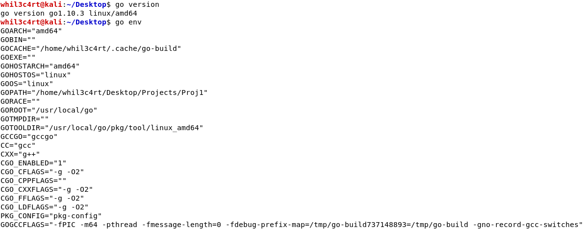 Configuring Go Language in Kali Linux Configuring Go Language in Kali Linux