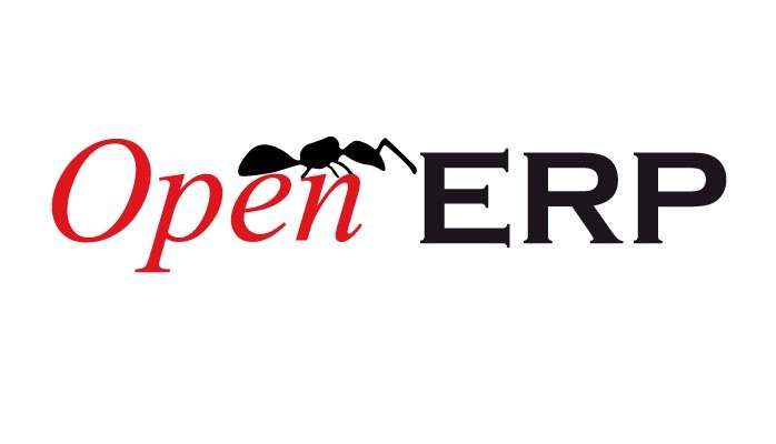 Things to consider before deploying an Open ERP Things to consider before deploying an Open ERP