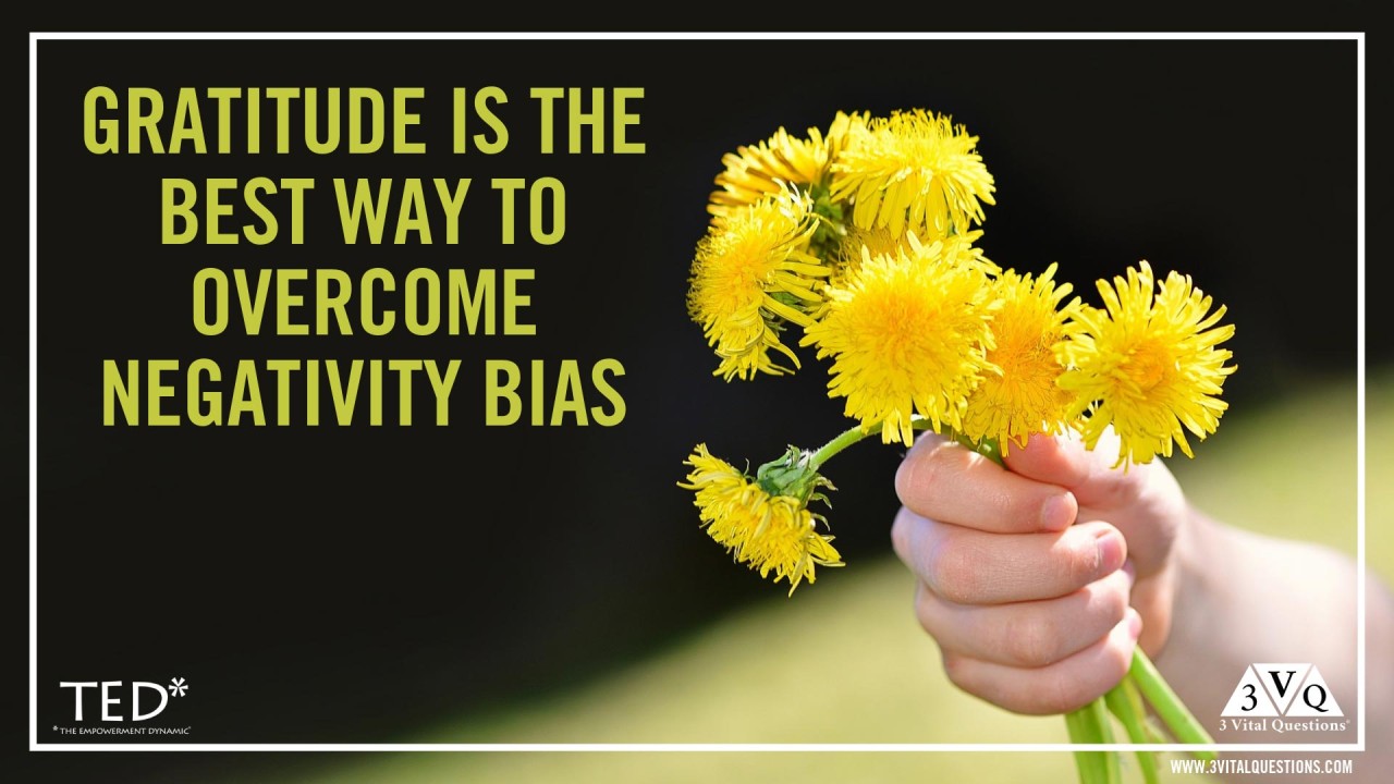 How Gratitude Overrides the Negativity Bias How Gratitude Overrides the Negativity Bias