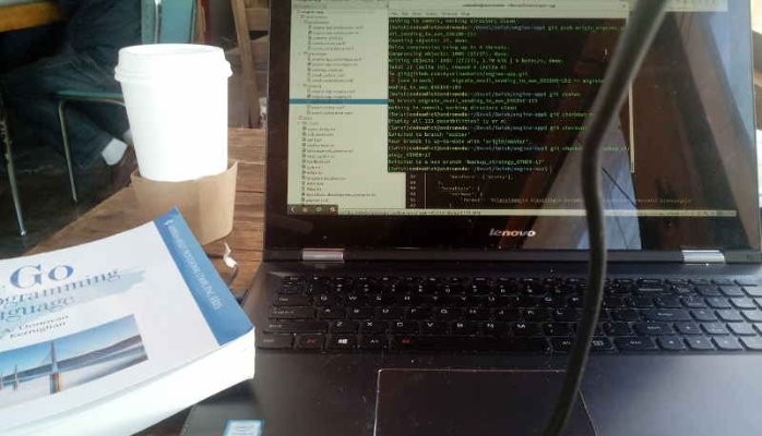 Setting up a Golang development environment on Ubuntu Linux Setting up a Golang development environment on Ubuntu Linux