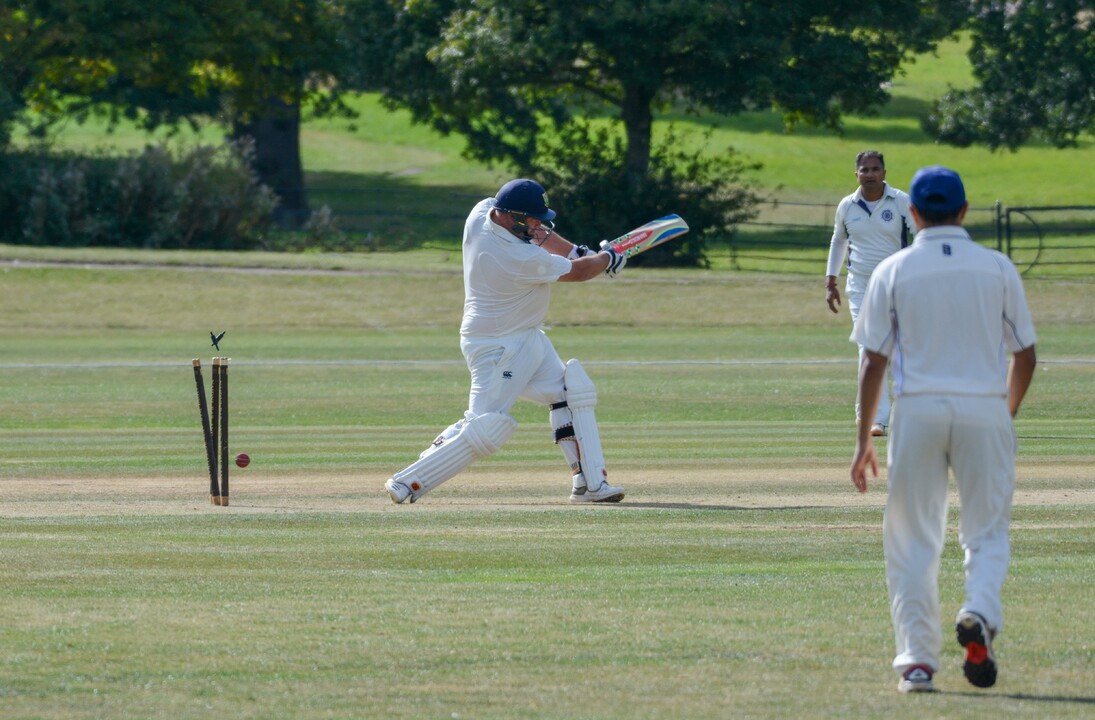 The Cricketing Ways: Roles in Software Engineering The Cricketing Ways: Roles in Software Engineering