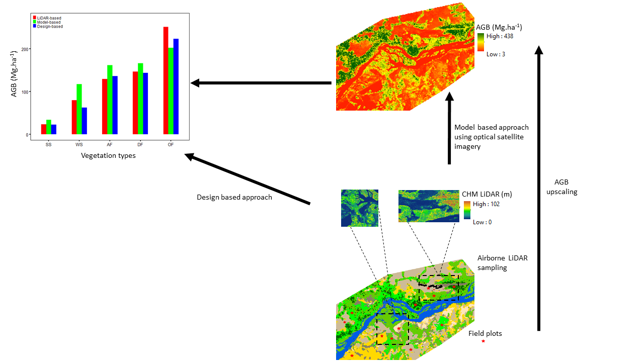 Airborne Lidar Sampling Pivotal for Accurate Regional AGB Predictions ... Airborne Lidar Sampling Pivotal for Accurate Regional AGB Predictions ...