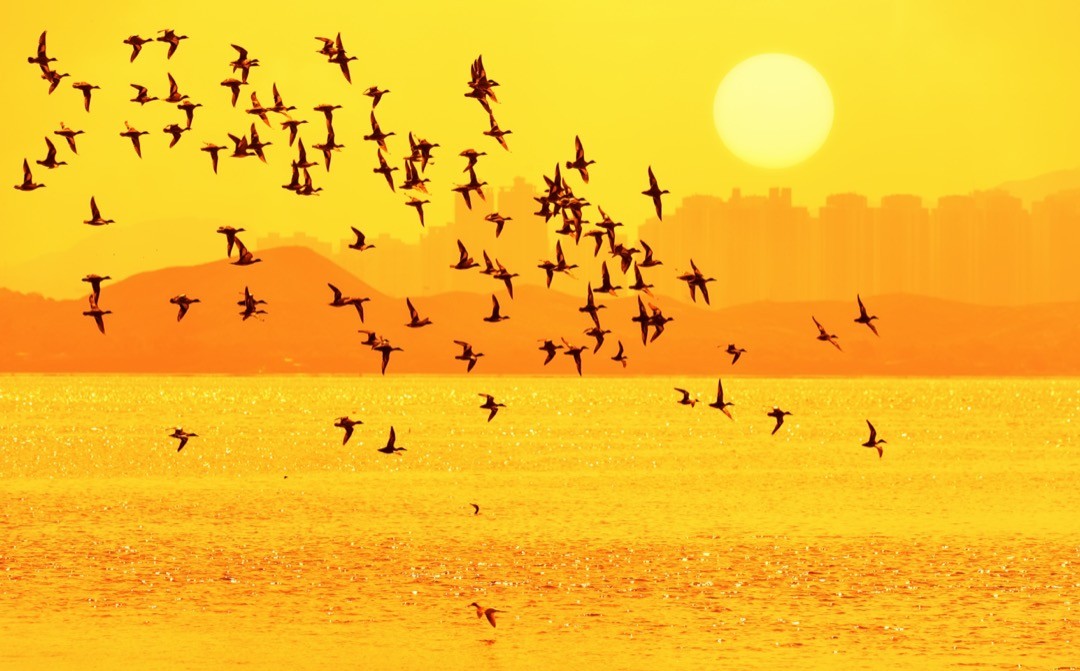 RAILS MIGRATIONS TIPS & TRICKS RAILS MIGRATIONS TIPS & TRICKS