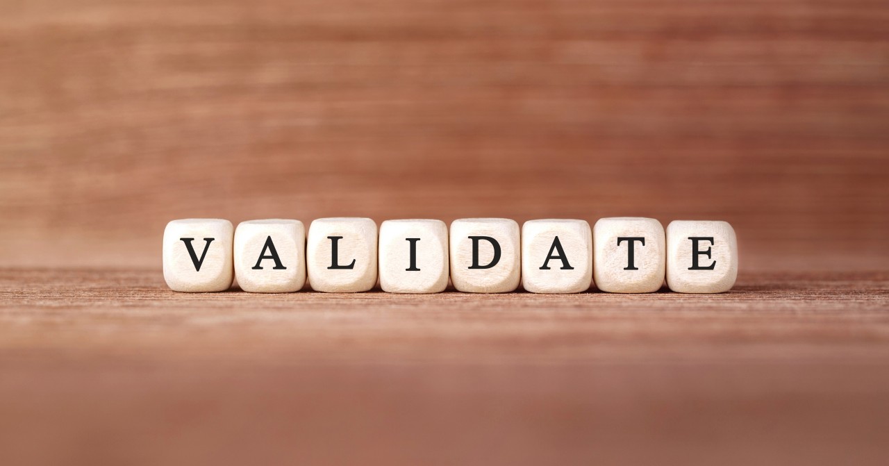 10 reasons why you need to validate! 10 reasons why you need to validate!