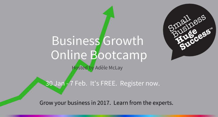 Achieving Profitable Growth in 2017 Achieving Profitable Growth in 2017
