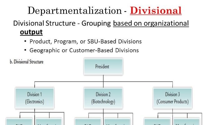 The divisional structure The divisional structure