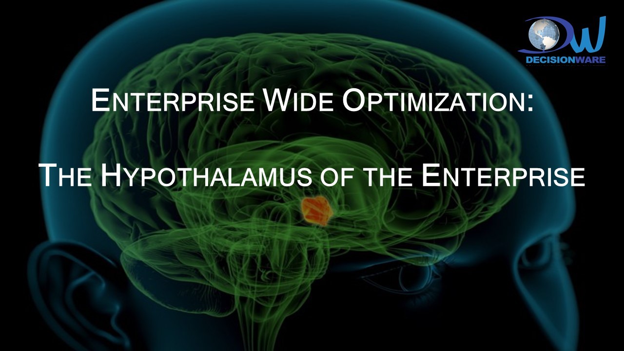 Webinar: Enterprise Wide Optimization: The Hypothalamus of the Enterprise Webinar: Enterprise Wide Optimization: The Hypothalamus of the Enterprise